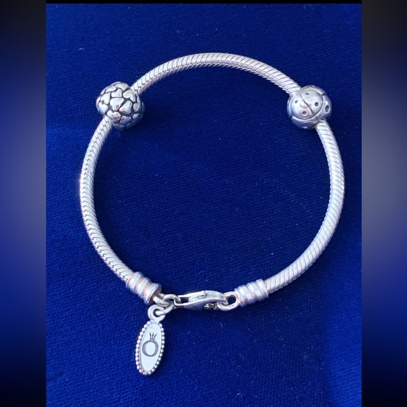 Pandora | Accessories | Authentic Pandora Serpentine Snake Chain ...